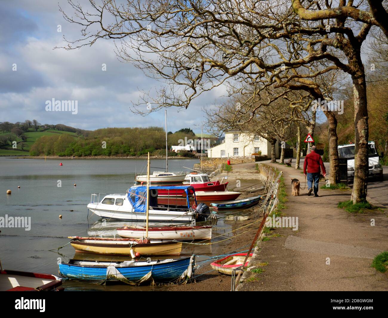 Walking the dog beside the Truro River at Sunny Corner near Malpas ...