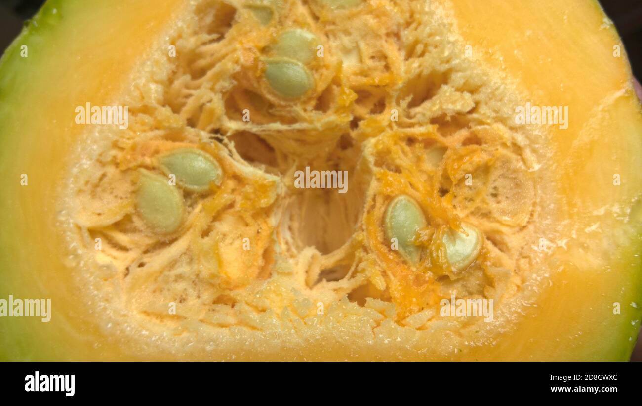 closeup of cross section view of raw vegetable pumpkin a cultivar of ...