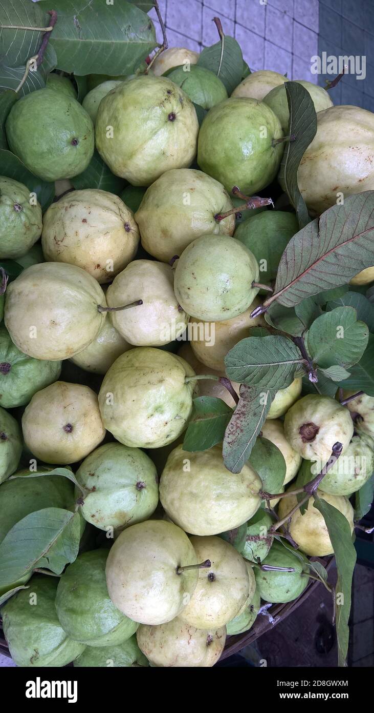 Fresh guavas hi-res stock photography and images - Alamy