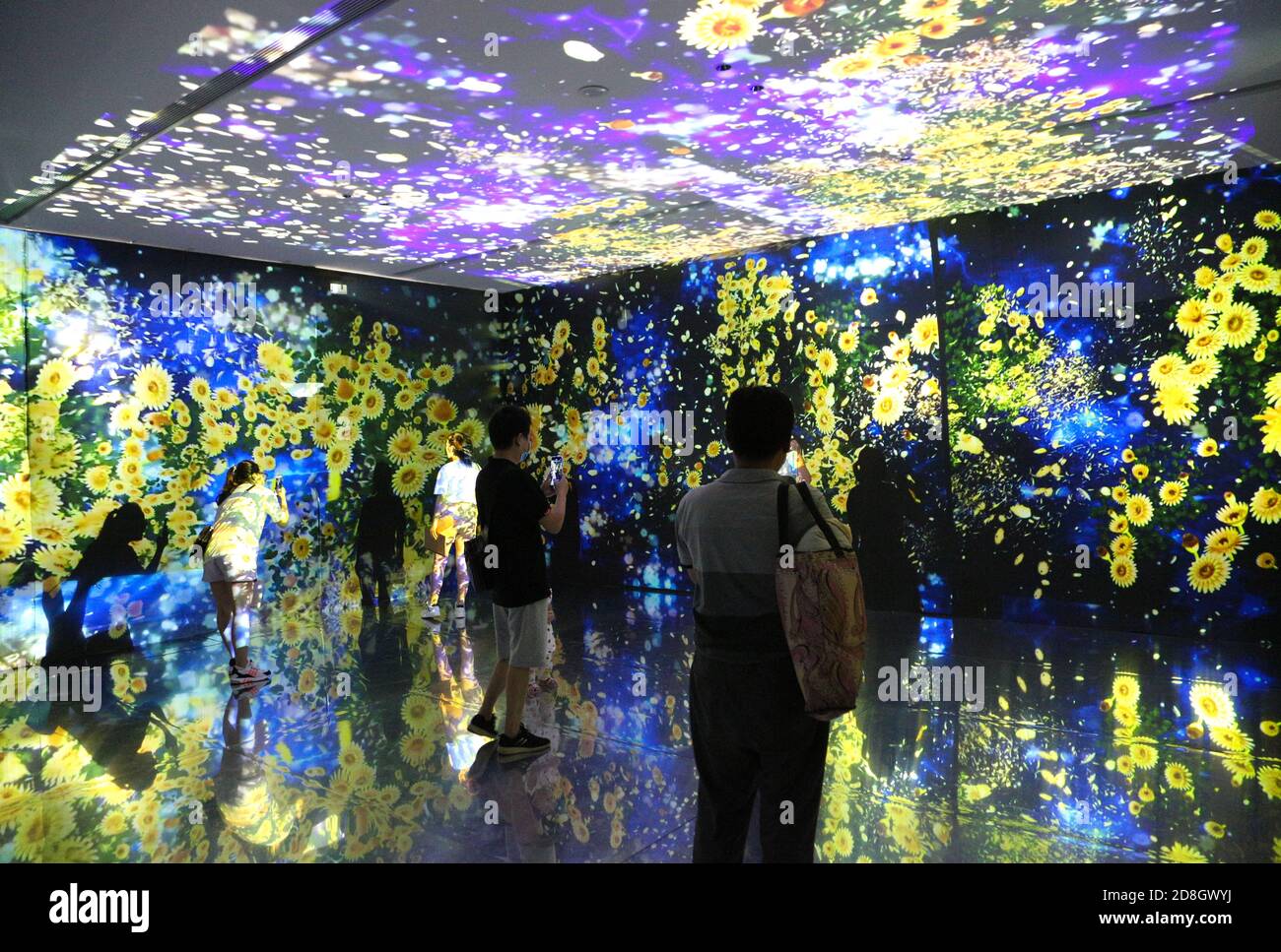 Visitors enjoy the holographic projection in Nanning city, south China ...