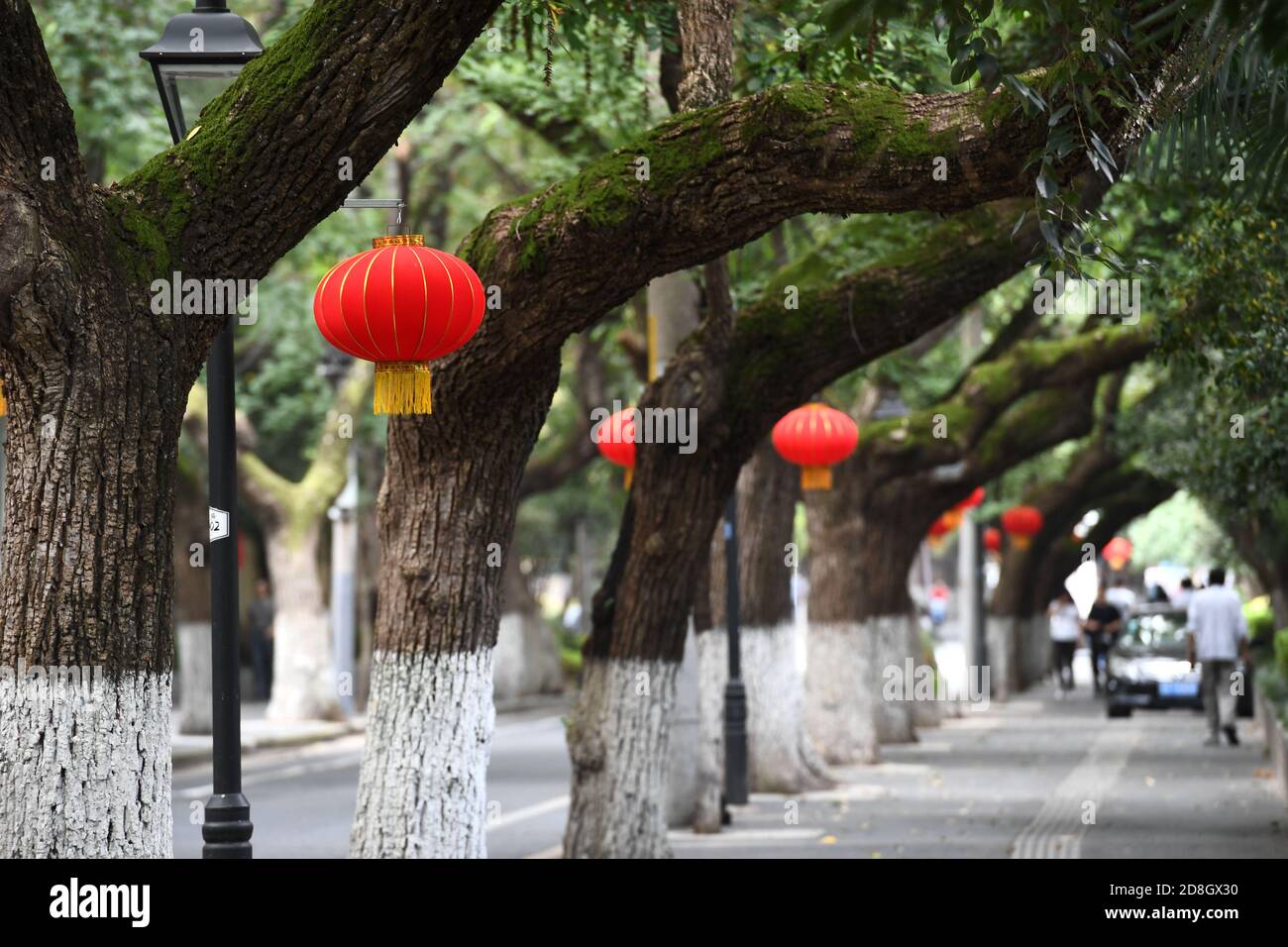 Red lanterns and national flags are seen flying along the Yihe street ...