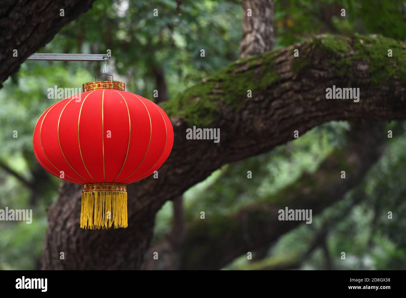 Red lanterns and national flags are seen flying along the Yihe street ...