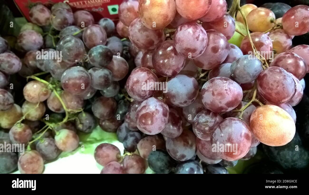 Red grapes illustration hi-res stock photography and images - Alamy