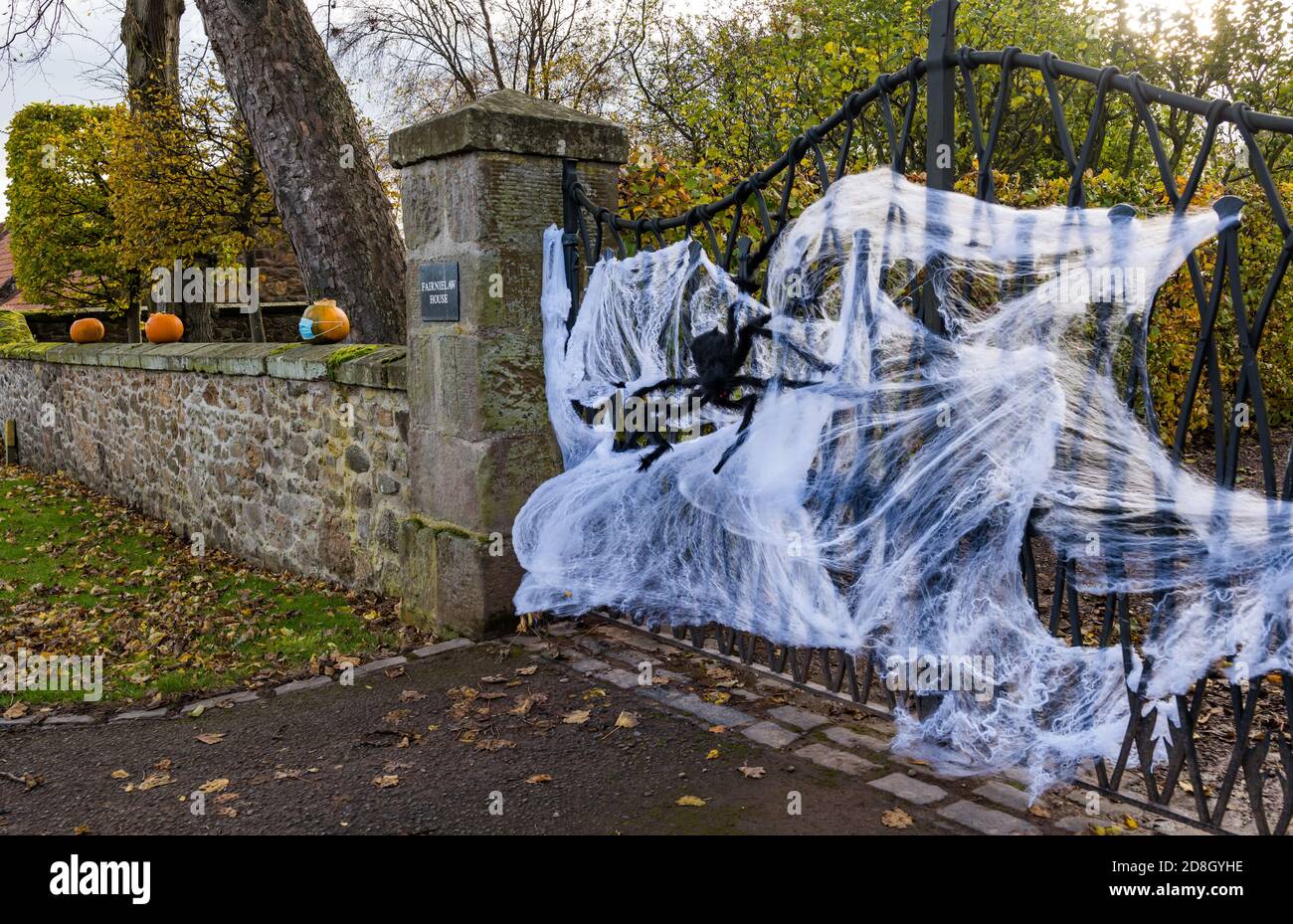 Spider web gate hi-res stock photography and images - Alamy