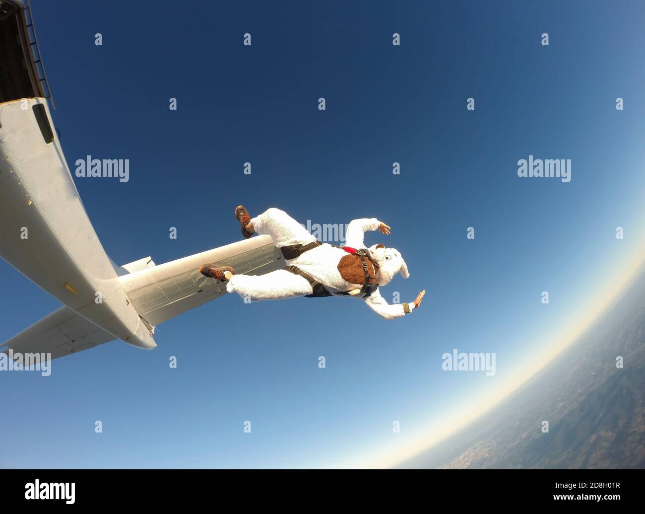 Easter bunny free falling Stock Photo - Alamy