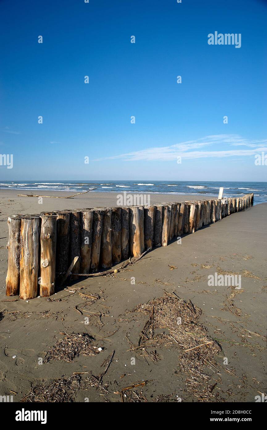 Boccasette (Ro), Po River Delta,Italy, some wooden poles on the beach ...