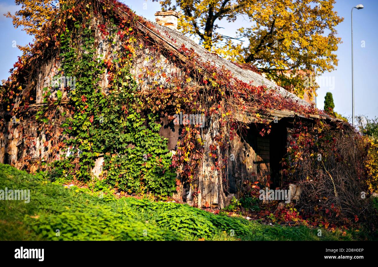 Blurred view old house hi-res stock photography and images - Alamy