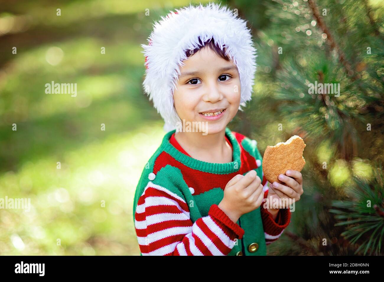 Half-length portrait of a little boy in elf hat and red sweater eating ...