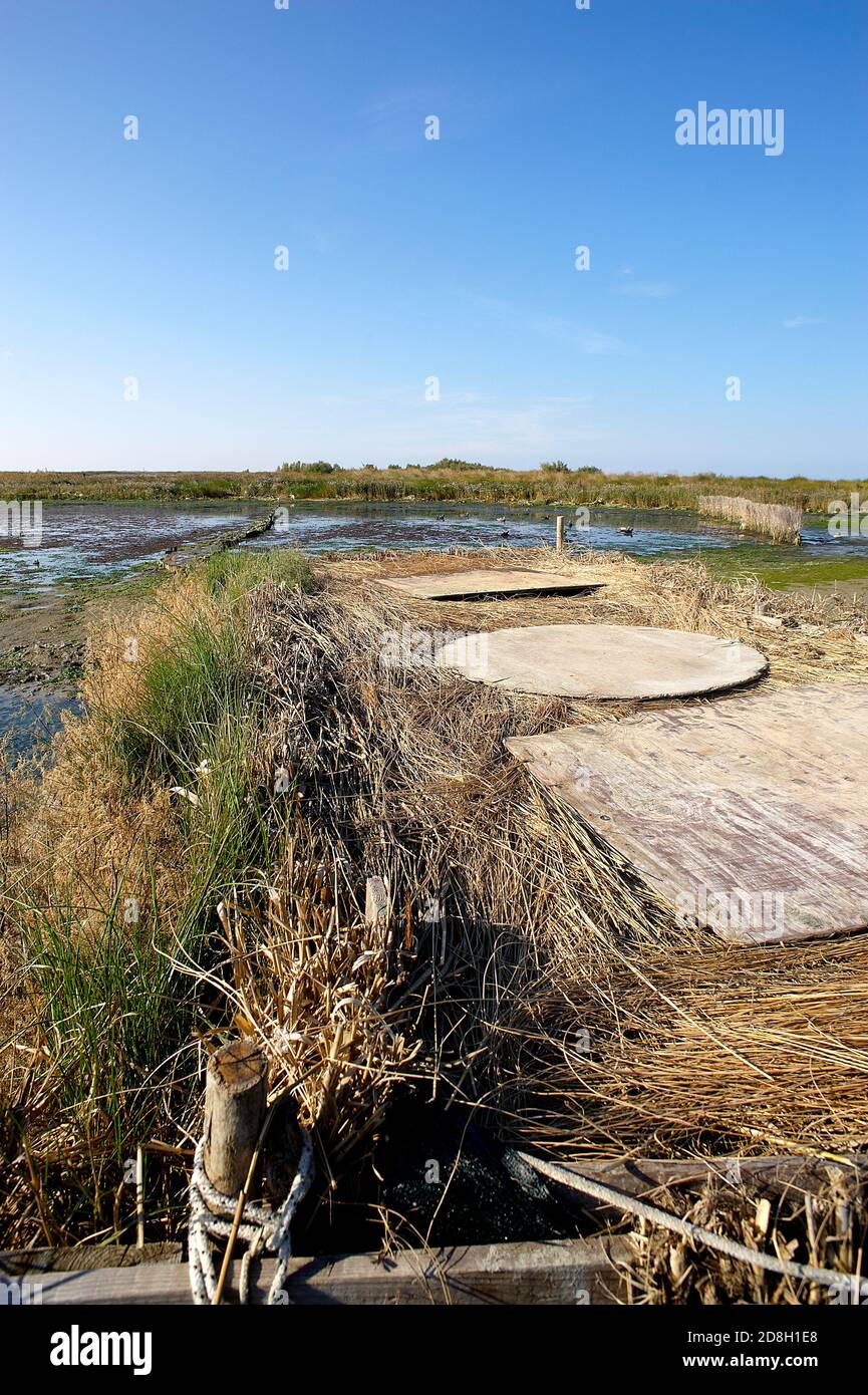 Pila (Ro), Po River Delta, Italy, a station for hunters fot duck ...