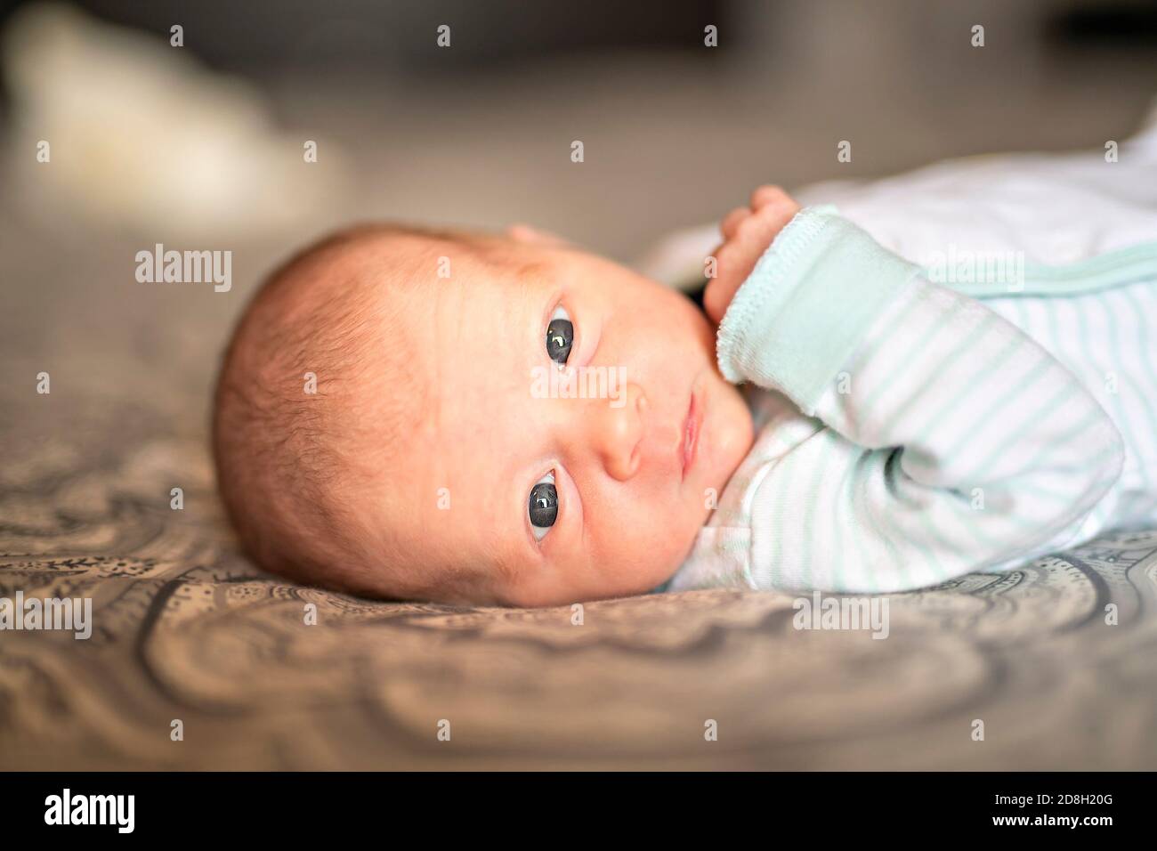Little Newborn relaxing on the parent bed Stock Photo - Alamy