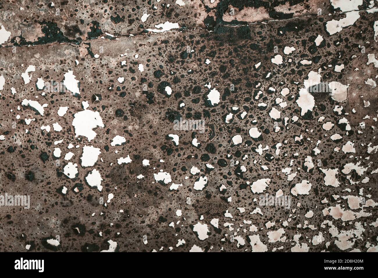 wet snow paving stone. rocky textured surface. texture tiles Stock ...