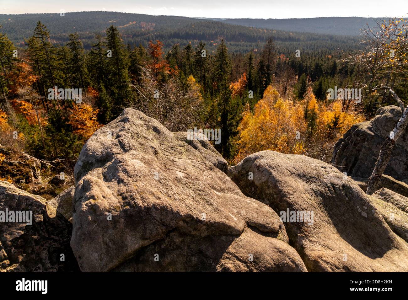 autumn in highland, czech republic Stock Photo - Alamy