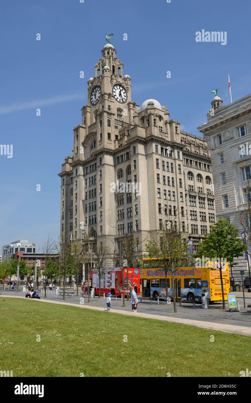 A Liver bird sits atop the clock tower on the 'Royal Liver Building ...
