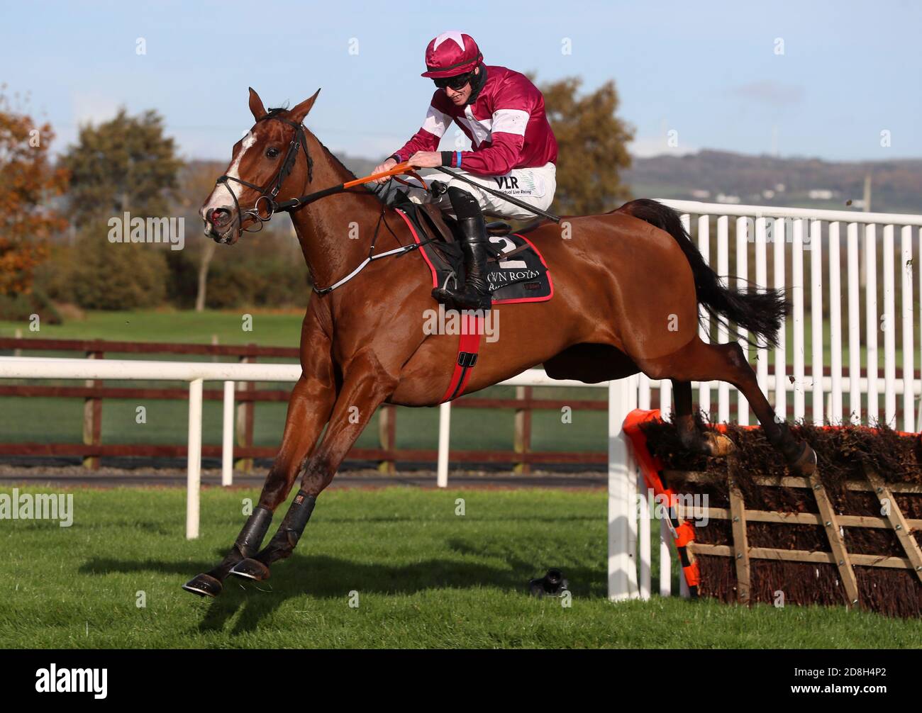 Farouk d'alene horse hi-res stock photography and images - Alamy
