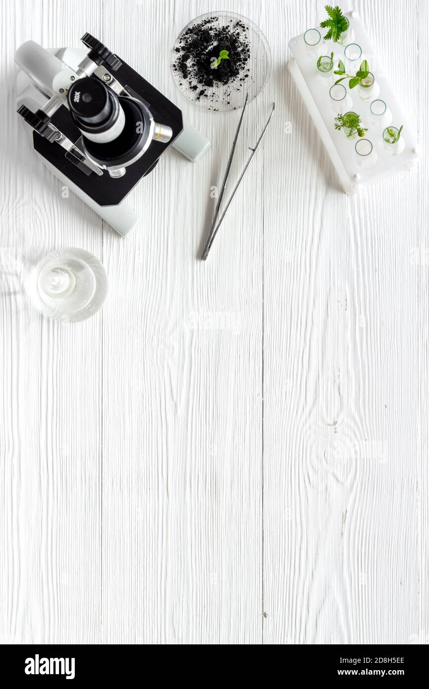 Plants with microscope in scientific laboratory. Top view Stock Photo ...