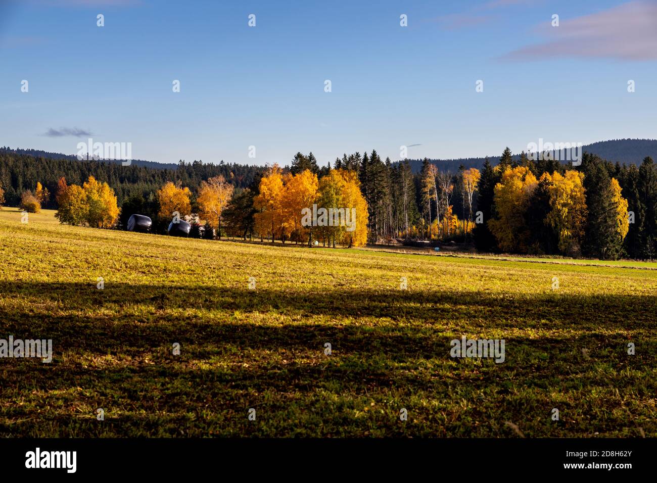 autumn in highland, czech republic Stock Photo - Alamy