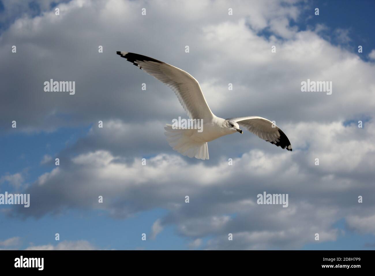 Annex beach hi-res stock photography and images - Alamy