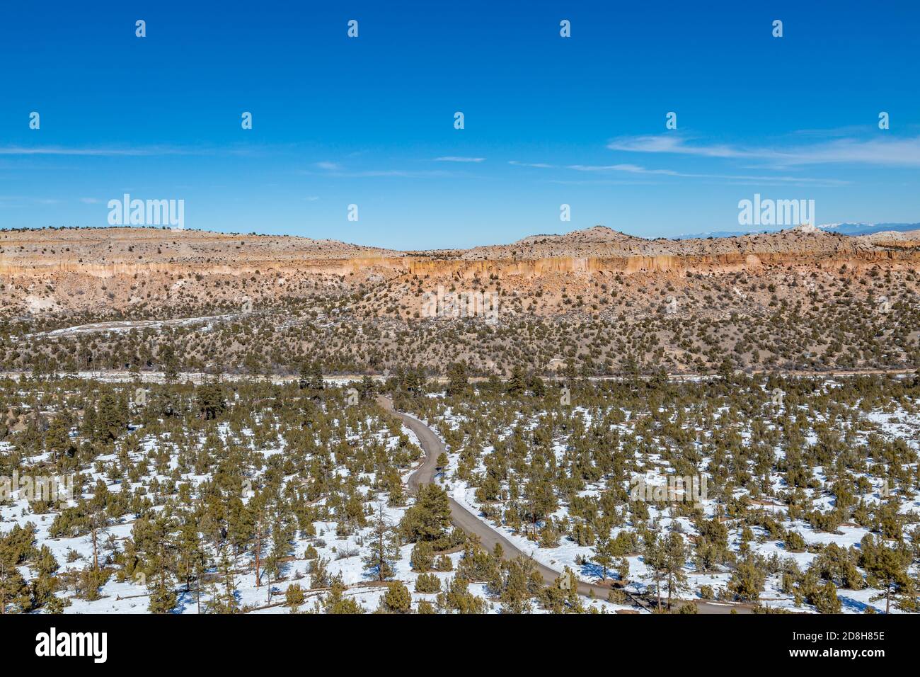 White fir new mexico hi-res stock photography and images - Alamy