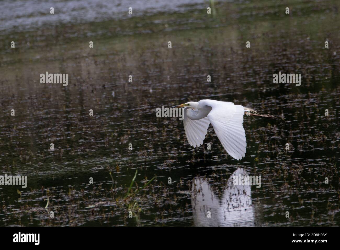 Flying water bed hi-res stock photography and images - Alamy