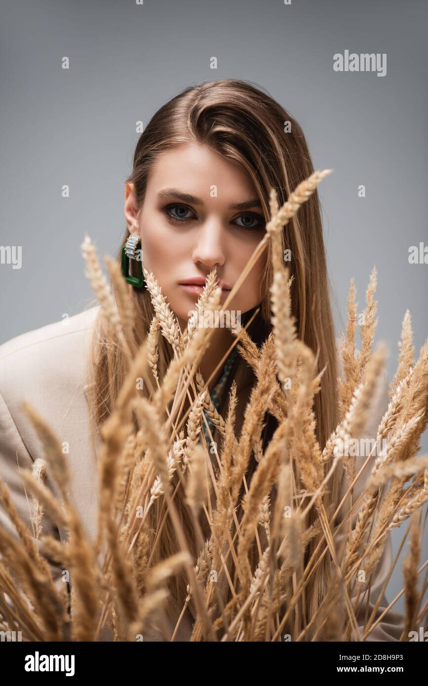 Barley grey hi-res stock photography and images - Alamy
