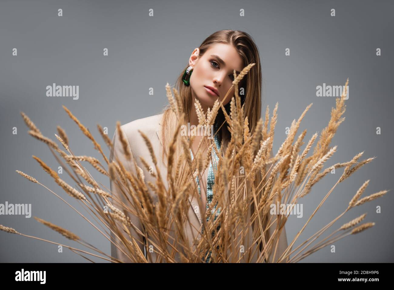 Barley grey hi-res stock photography and images - Alamy