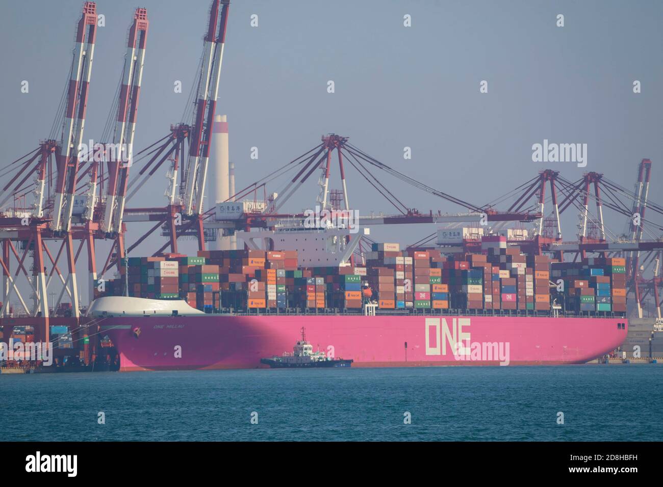 A pink container cargo ship dock on the Qingdao Qianwan Container ...