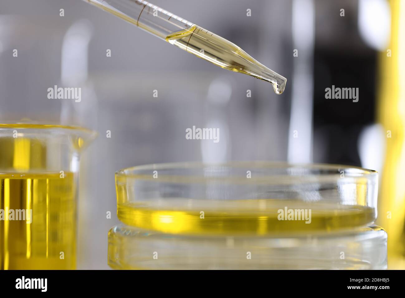 Drop of oil drips from dispenser into petri dish in chemical laboratory ...