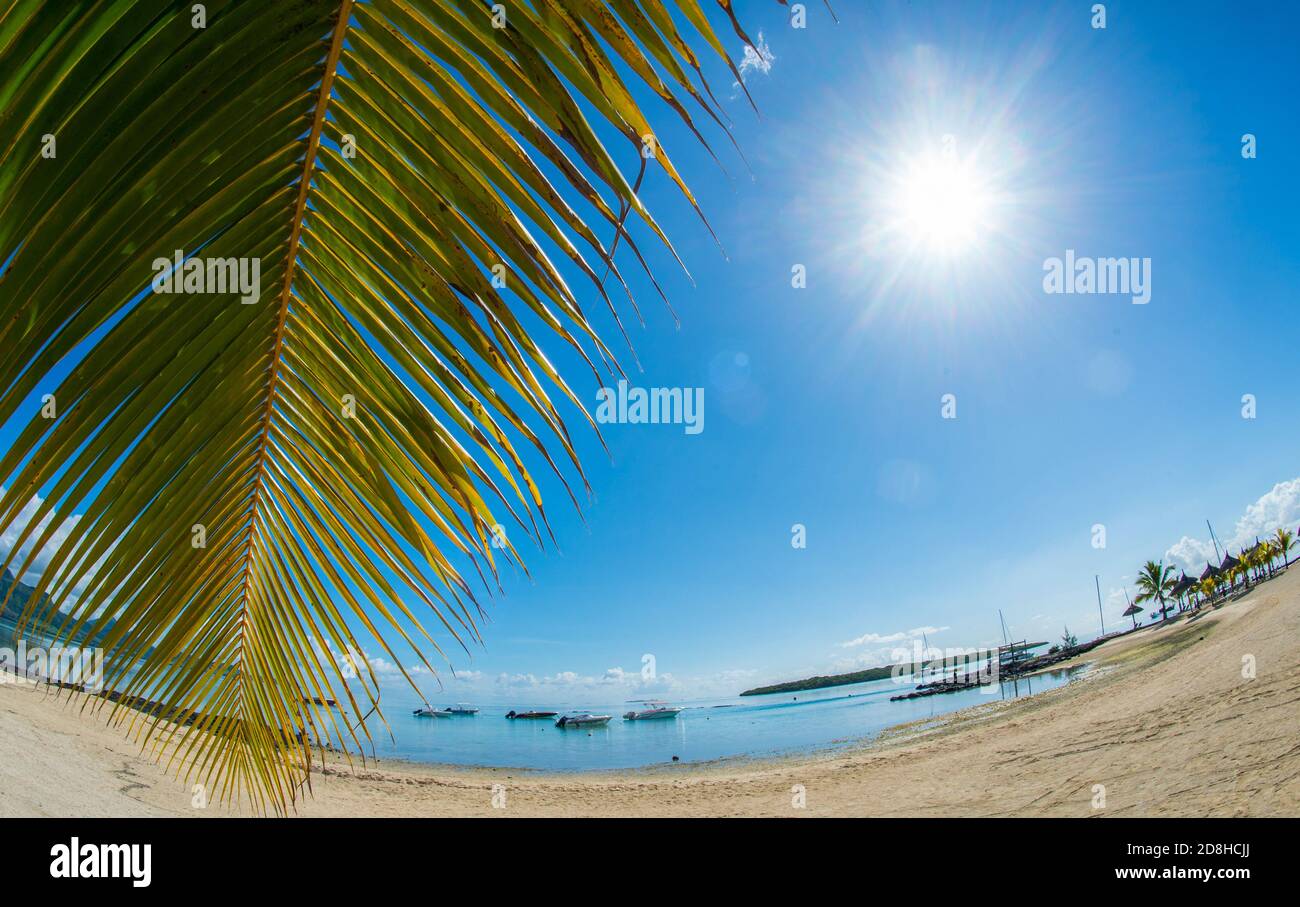 Tropics mauritius hi-res stock photography and images - Alamy