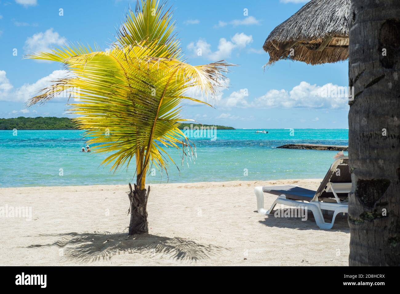 Tropics mauritius hi-res stock photography and images - Alamy