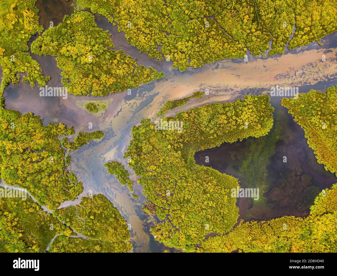 Aerial view of colorful pond in the marshlands Stock Photo - Alamy