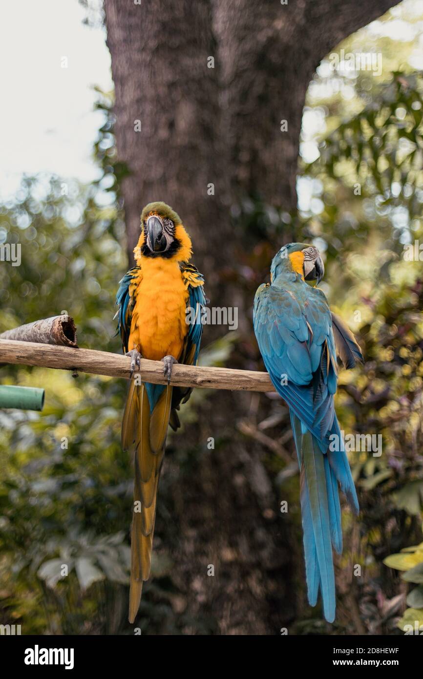 Shades of blue colours hi-res stock photography and images - Alamy