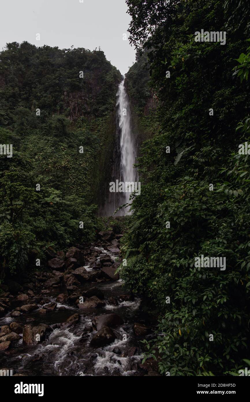 Cascade waterfall in a tropical forest on a foreign island Stock Photo ...
