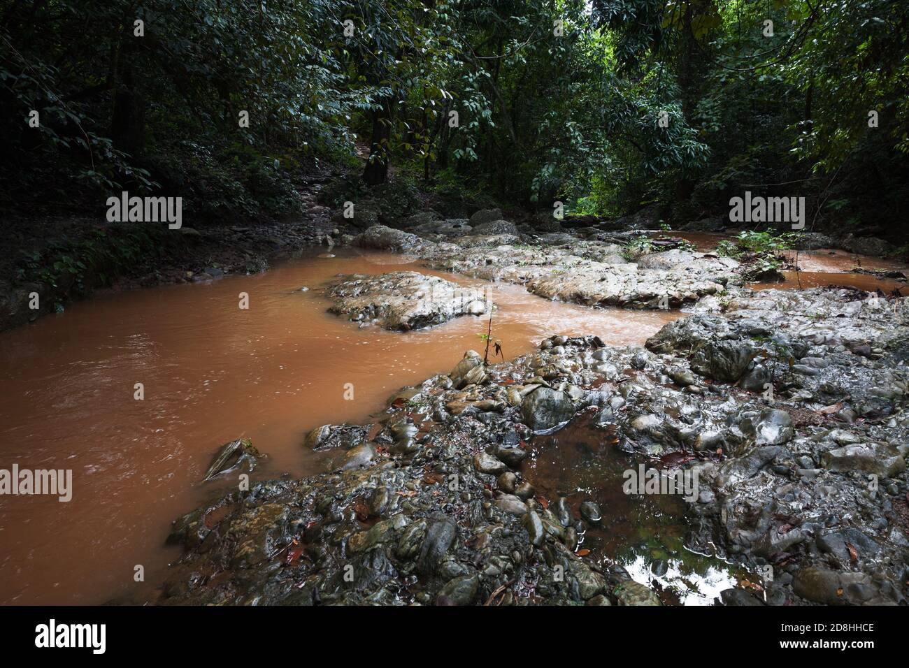 Tropical landscape with small muddy river going through dark rainforest ...