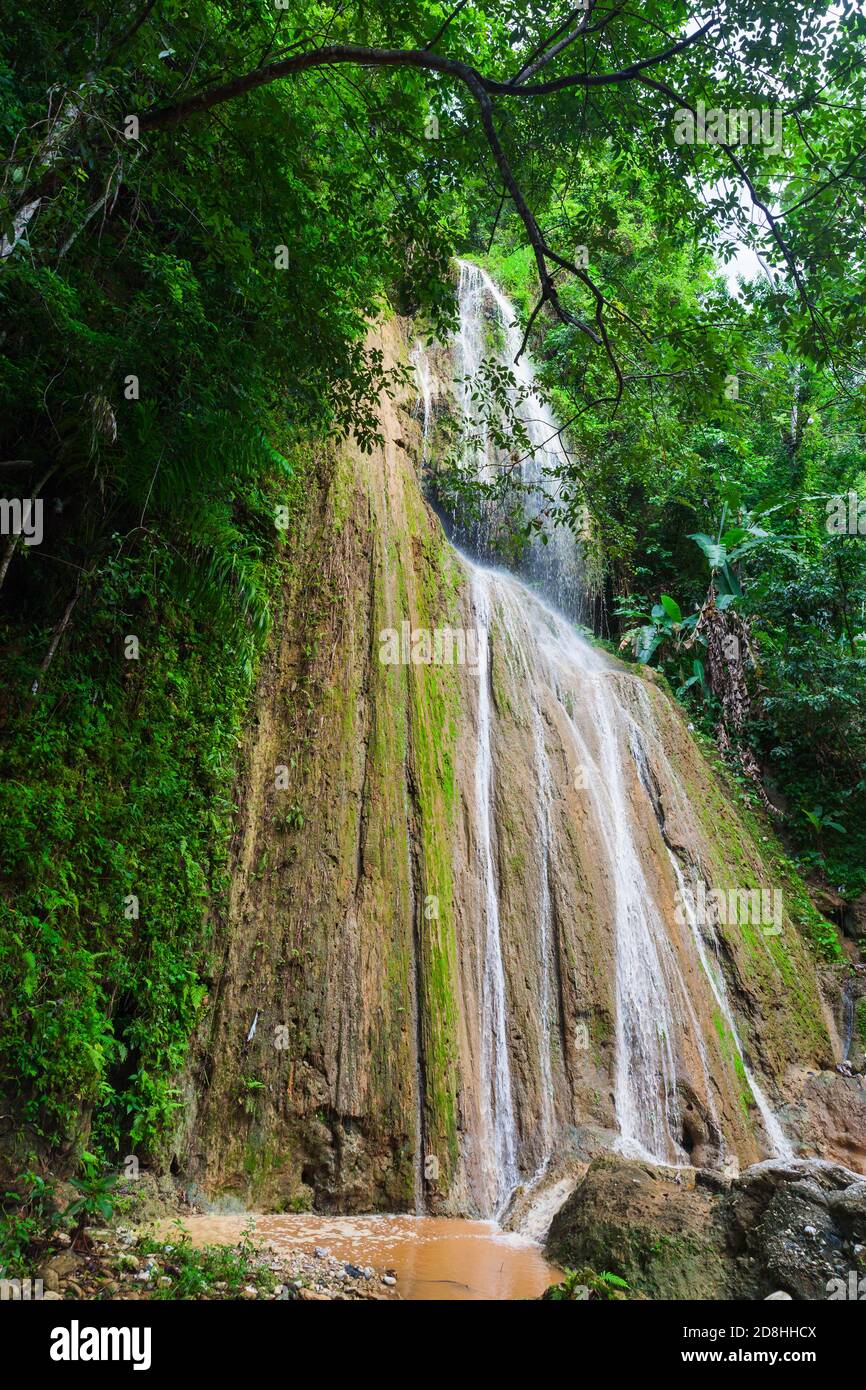 Vertical landscape photo with waterfall in tropical forest. Samana ...