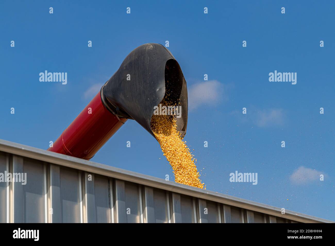 Combine harvester loading grain truck with corn kernels during harvest ... Combine harvester loading grain truck with corn kernels during harvest ...