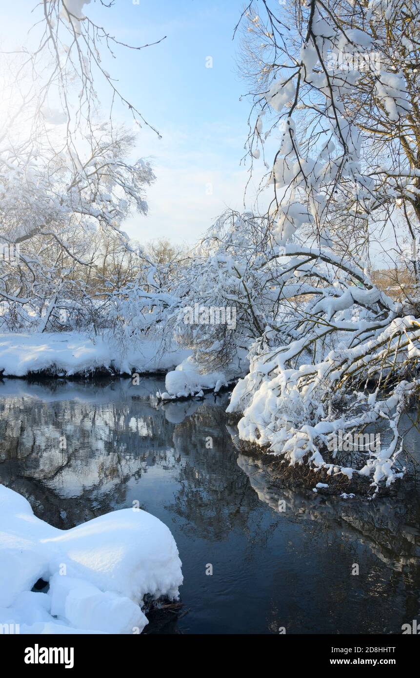 Frosty winter scene with forest river during sunny morning. Beautiful ...