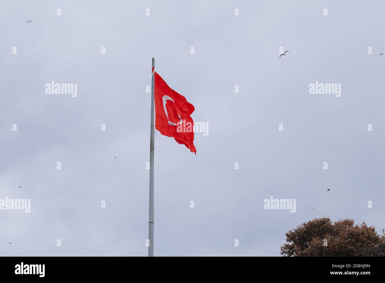 flag of turkey waving in the wind against a dramatic sky Stock Photo ...