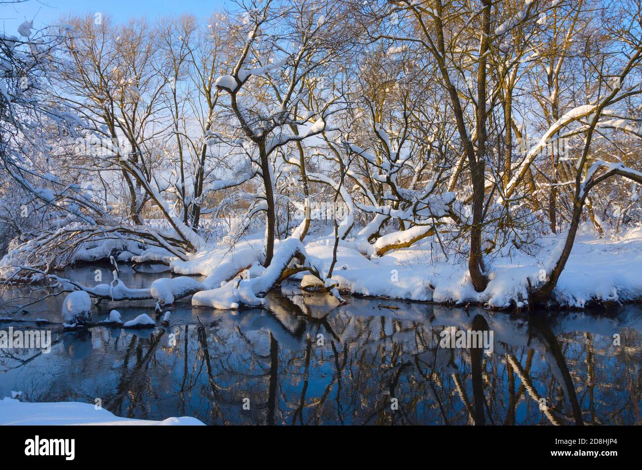 Frosty winter scene with forest river during sunny morning. Beautiful ...