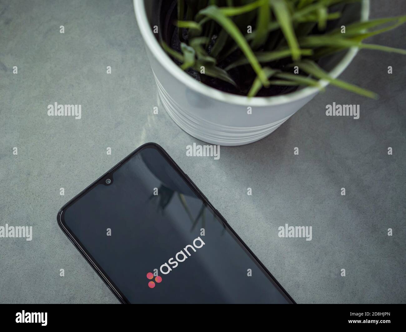 Asana logo hi-res stock photography and images - Alamy