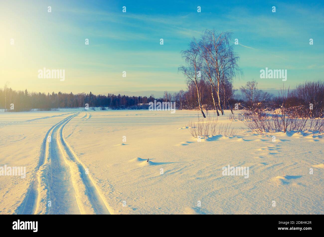 Frosty winter landscape with forest lawn illuminated by the light of ...