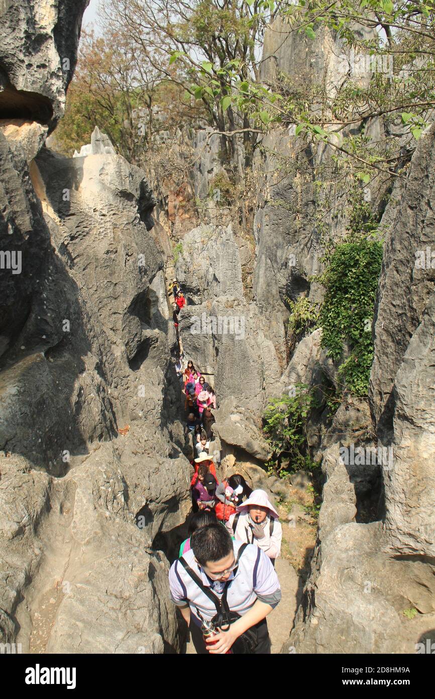 270 million years ago hi-res stock photography and images - Alamy