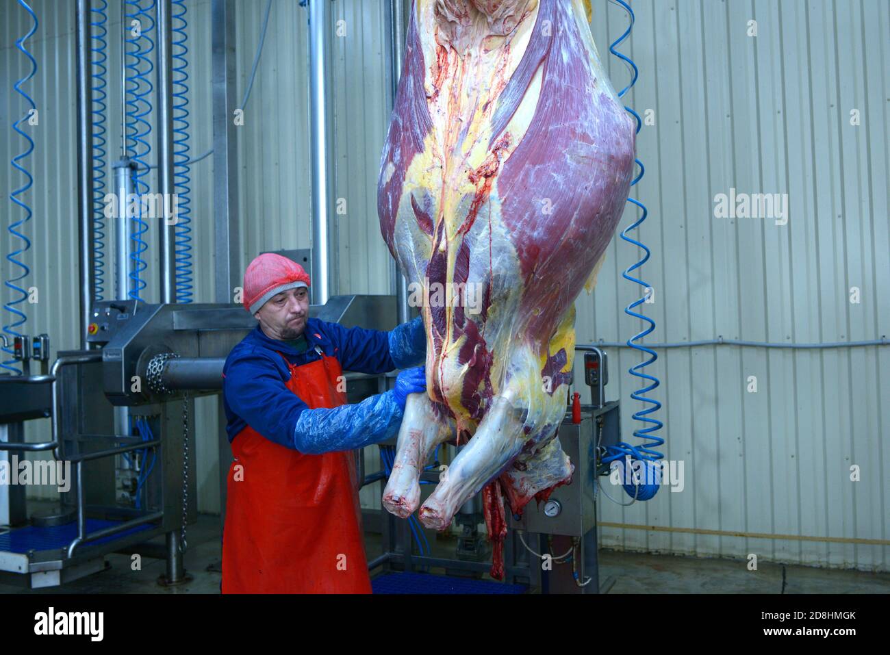 Carcass beef hi-res stock photography and images - Alamy