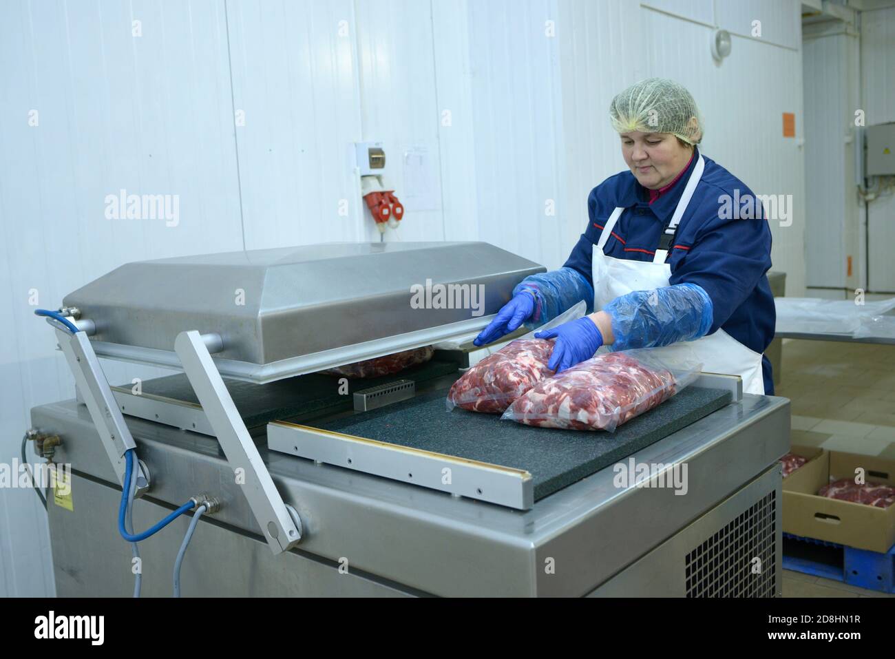 At the packaging workshop: woman worker packing pieces of meat vacuum ...