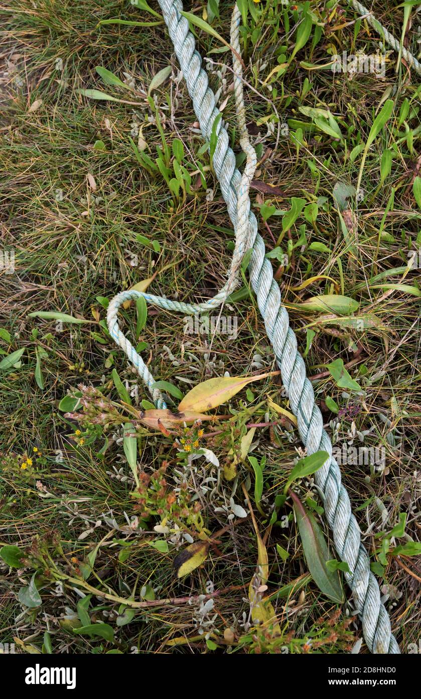 rope lying on ground Stock Photo - Alamy