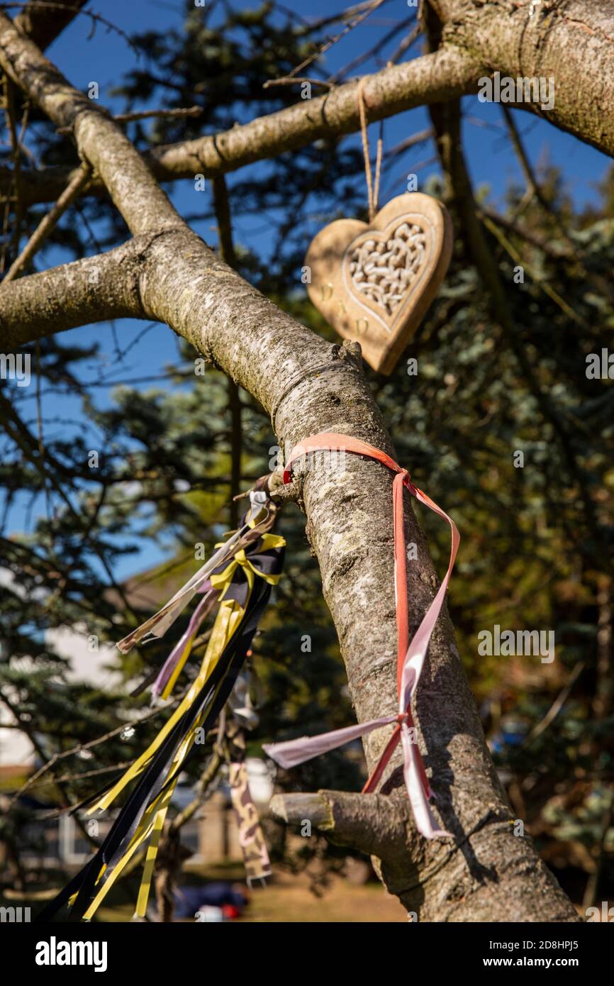 Friendship tree hi-res stock photography and images - Alamy