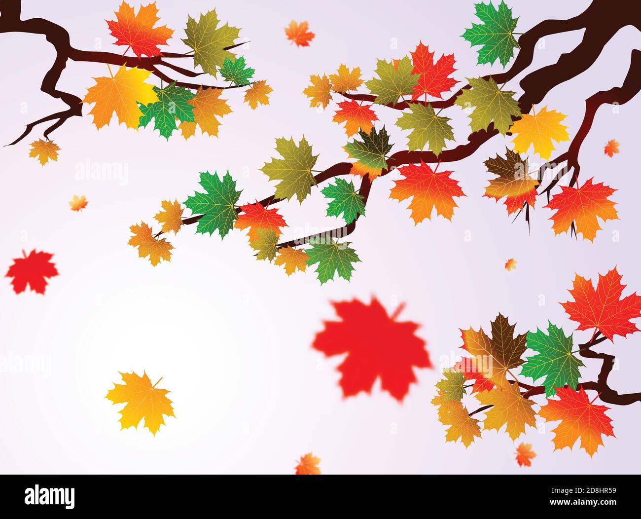 Autumn falling leaves background Vector template. Leaf vector Stock ...