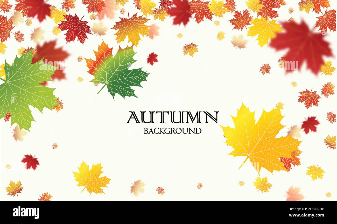 Autumn falling leaves background Vector template. Leaf vector Stock ...