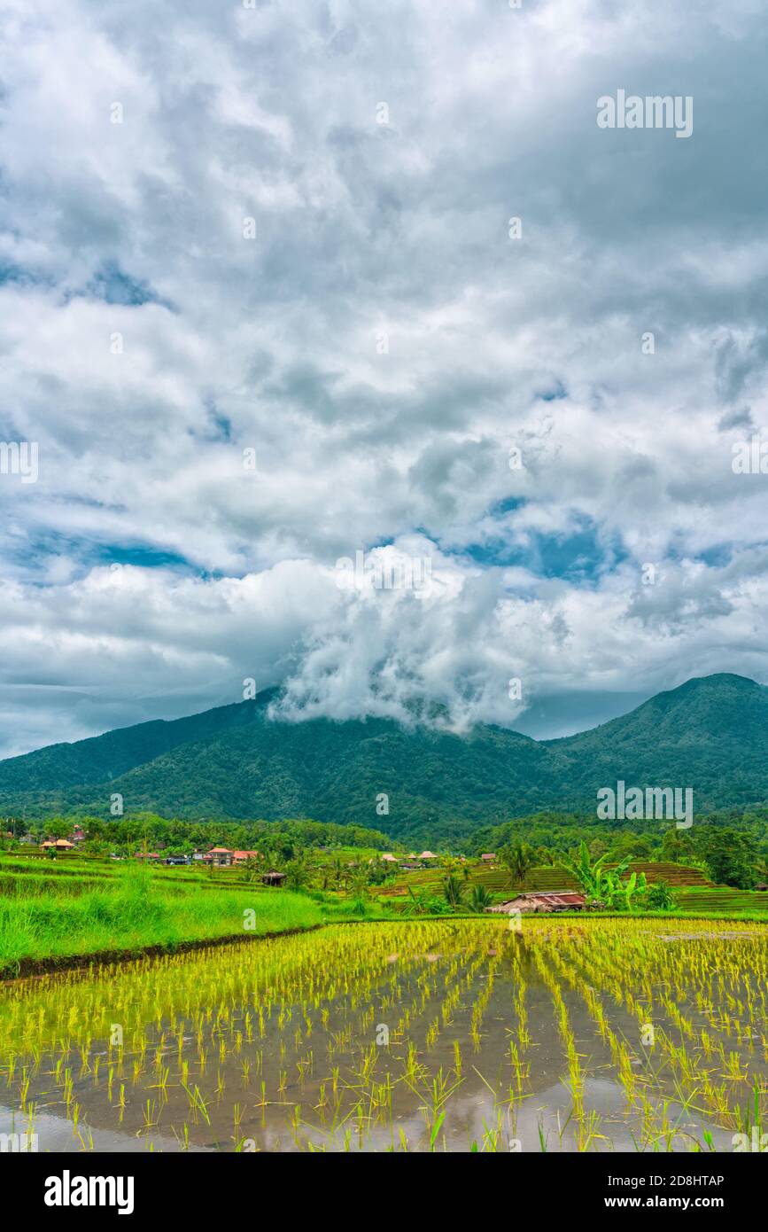 Rice terraces in mountains. Cloudy sky at the background. Bali ...