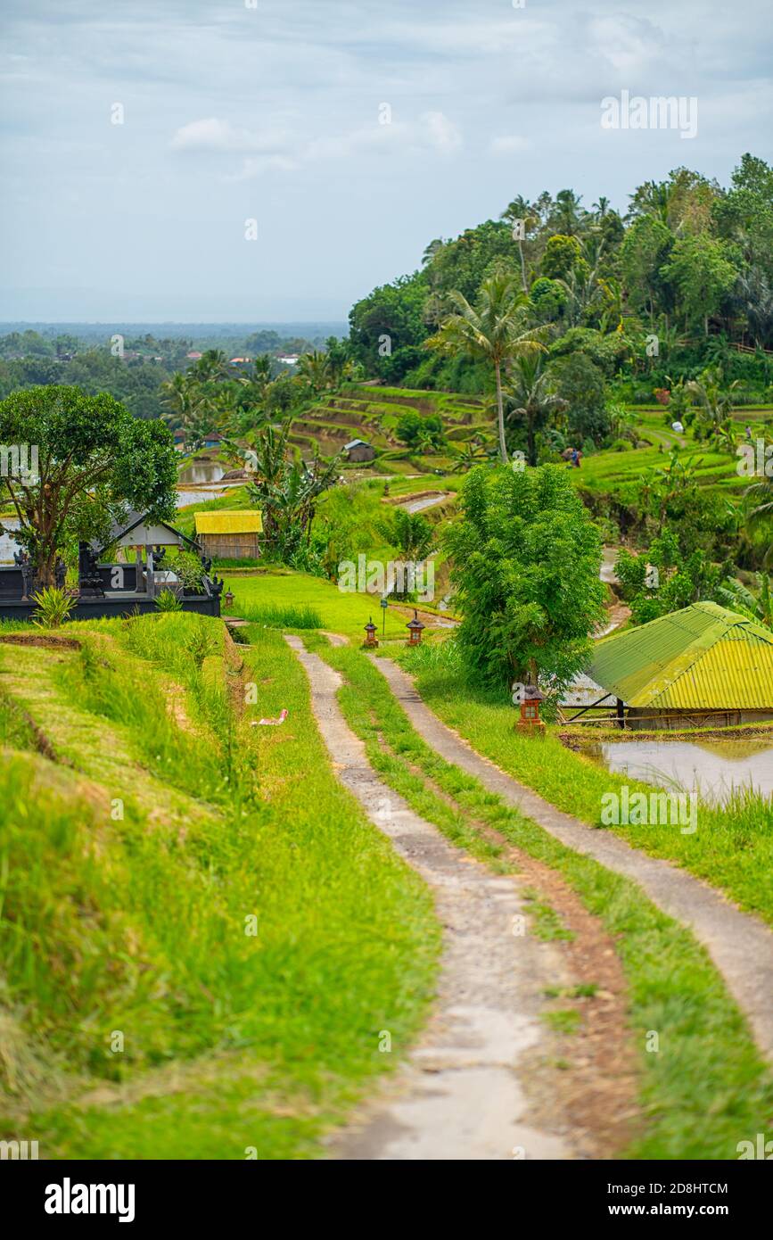 Country road on the way to the rice terraces. Bali Indonesia Stock ...