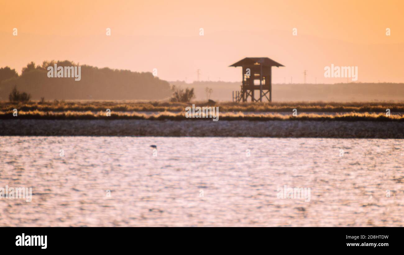 Point of birdwatching Stock Photo - Alamy